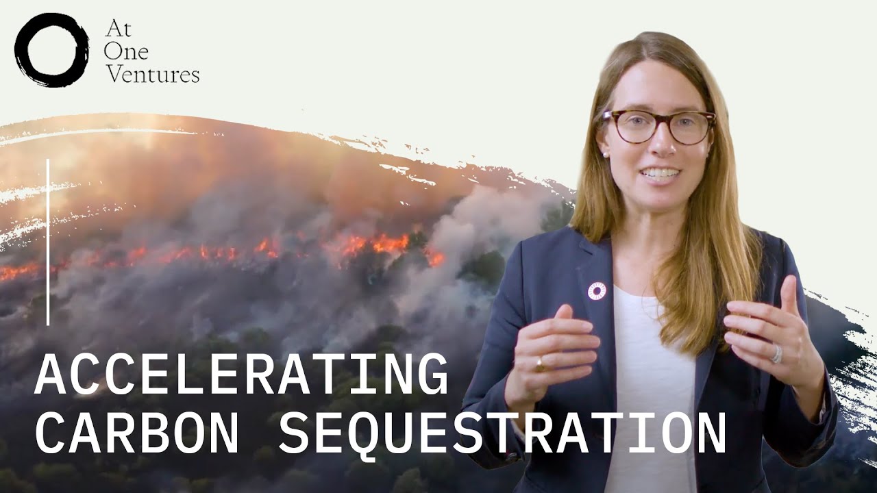 At One Ventures: Accelerating Carbon Sequestration - YouTube