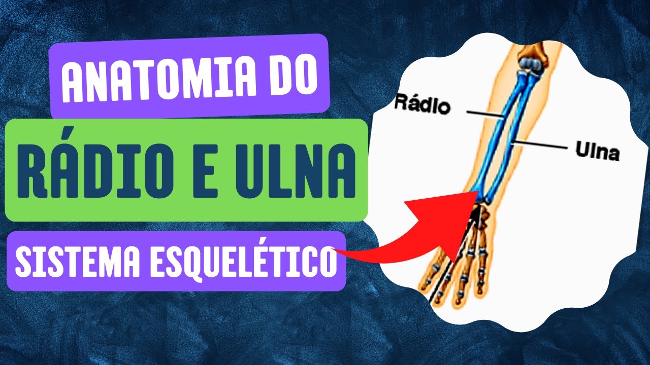 Aula 12 - Anatomia do Rádio e Ulna - YouTube