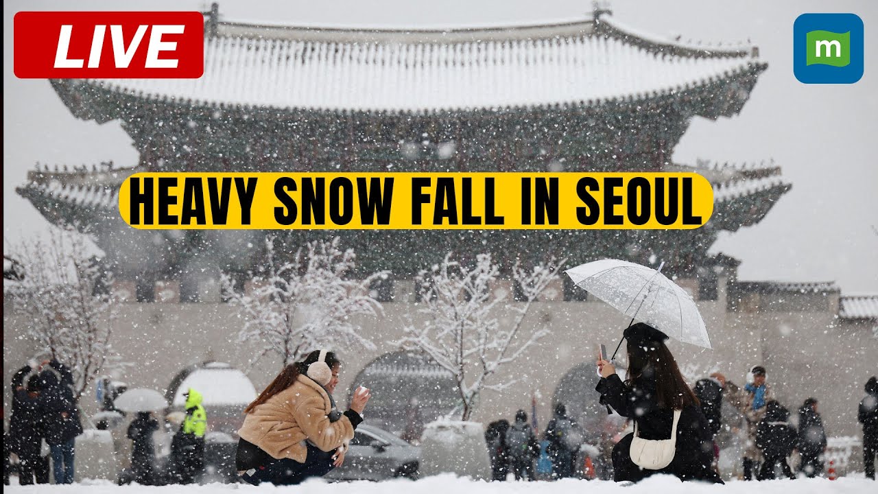 Live: Seoul receives the largest single day snowfall in November ...