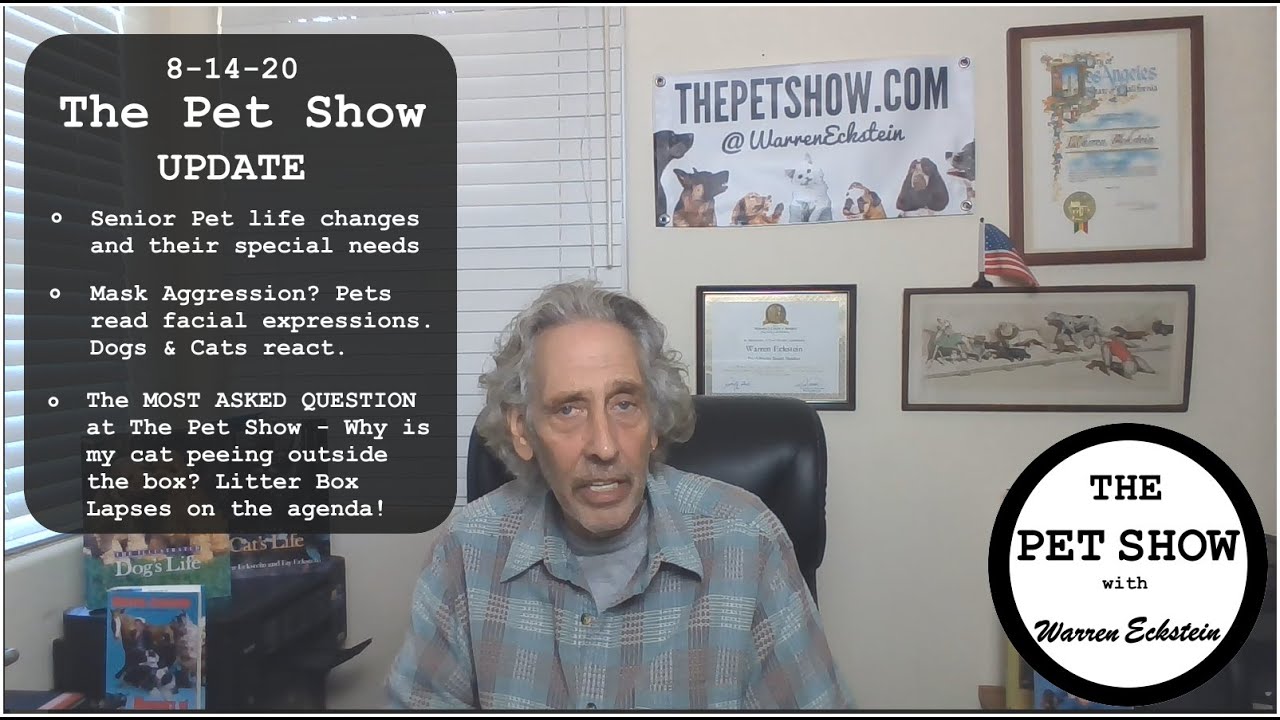 The Pet Show Update 8 14 20 - YouTube