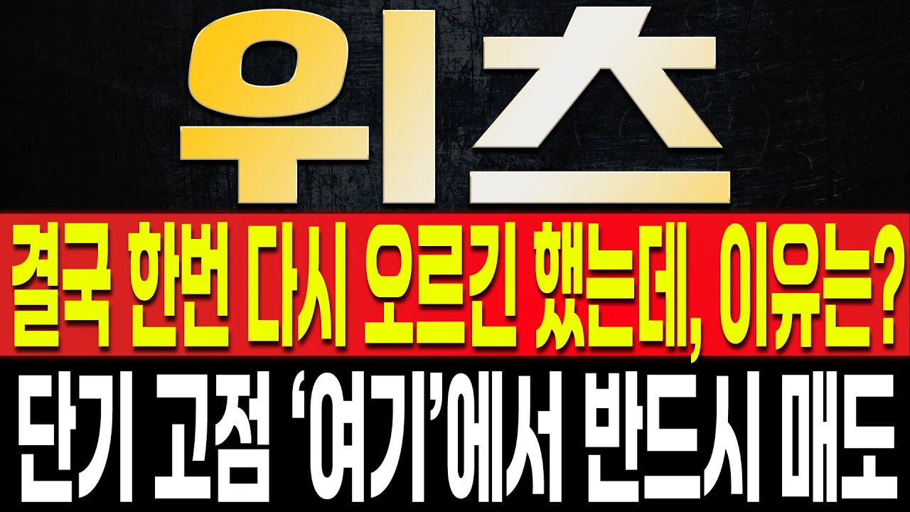 위츠 주가전망 결국 말씀드린 반등이 거래량과 함께 나왔습니다 내일도 상승이 나오겠지만 분명 여기부터가 고비일 수밖에