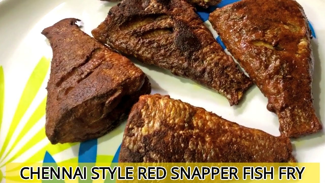 CHENNAI STYLE RED SNAPPER FISH FRY | SANKARA FISH EGG FRY | SANKARA ...