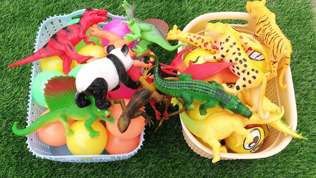 Plastic Animal Toys With Real Animal Videos, Horse, Tiger, Lion & All ...