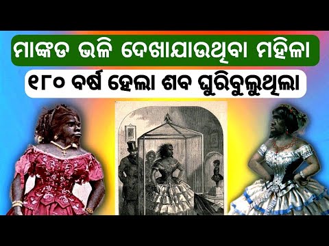 Ape faced woman l The baboon lady l Julia Pastrana l ଜୁଲିଆ ପାସ୍ତ୍ରାନା ...