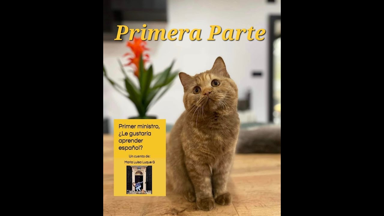 1 PRIMERA PARTE: Primer Ministro ¿Le gustaría aprender español? . Un ...
