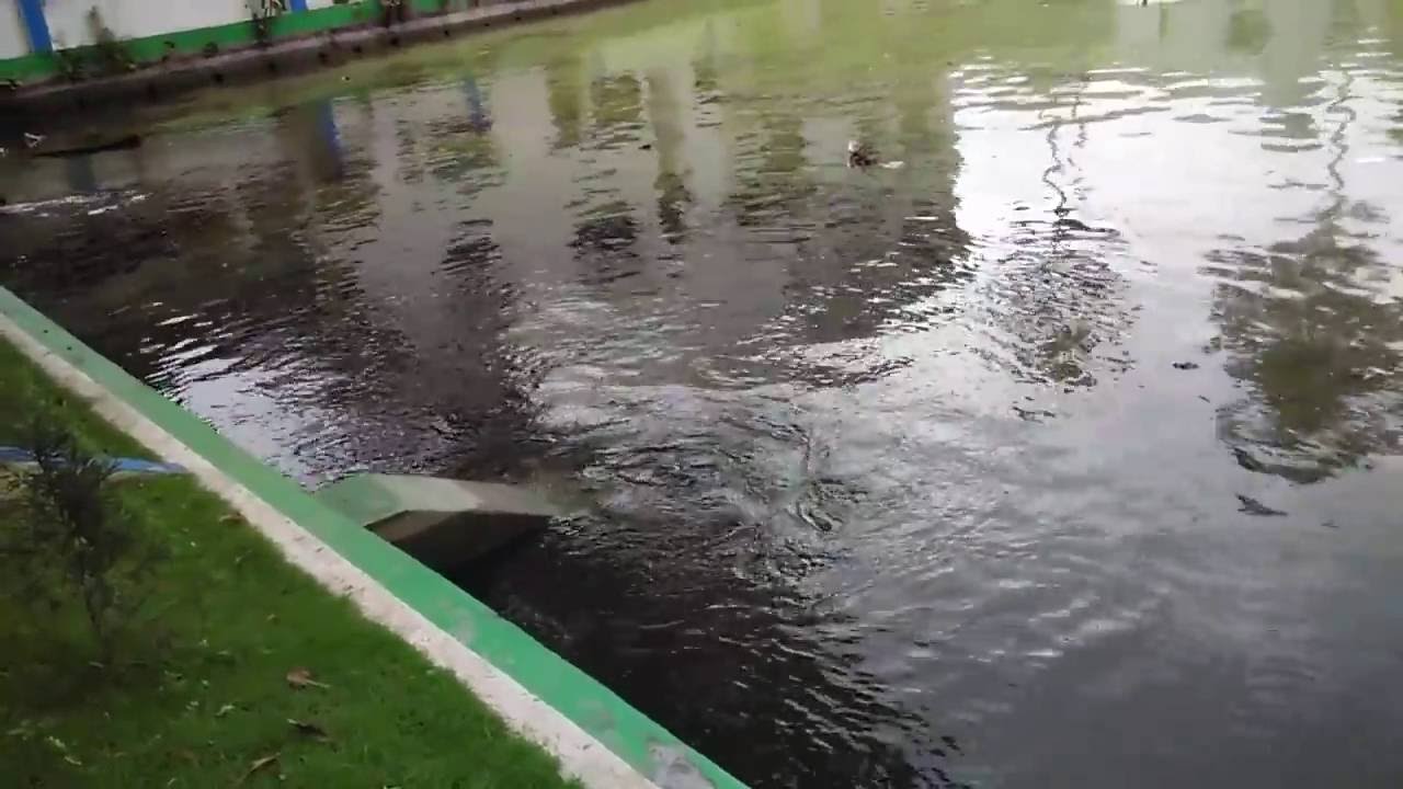 Earthquake Today 24 August 2016 Today 6.8 Magnitude - YouTube