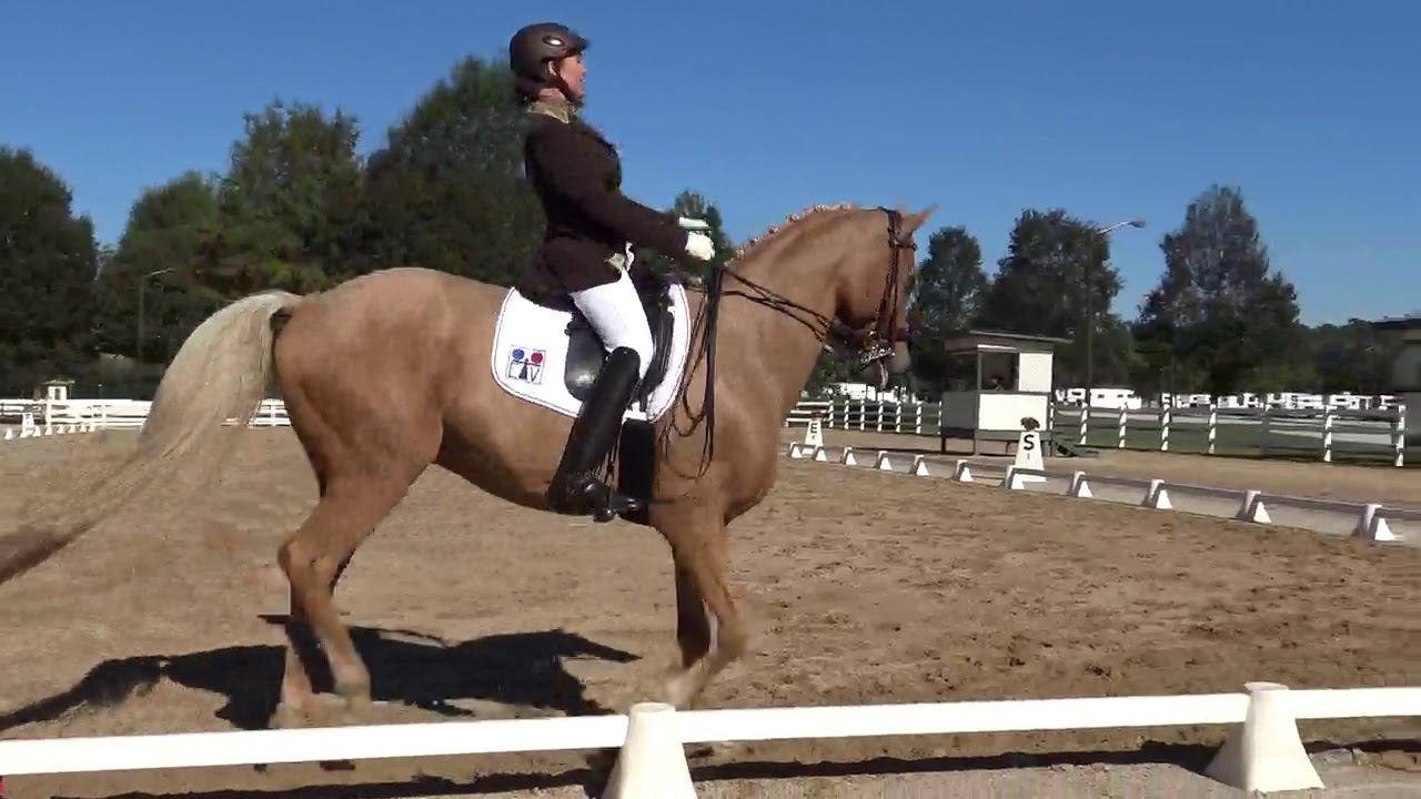 Jean Thornton Benji MFS 10 12 18 - YouTube