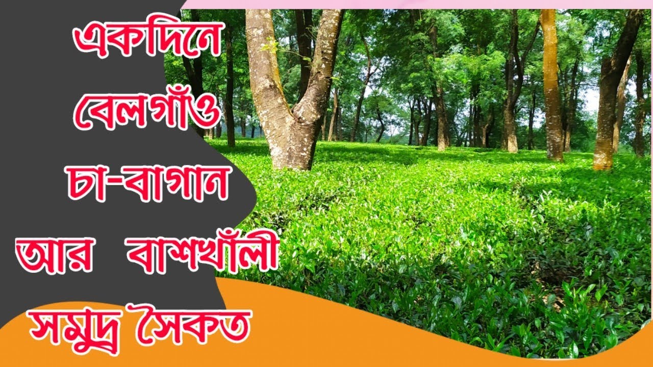 একদিনে বাশঁখালী বেলগাঁও চা বাগান ও বাশঁখালী সমুদ্রসৈকত। Banshkhali Tea-Garden। Banshkhali Sea ...