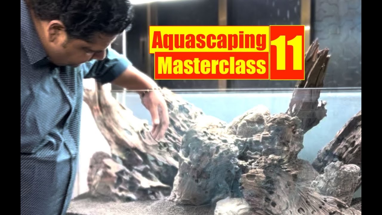 Mayur Dev's TOP AQUASCAPE Picks For 2025 Featuring DRIFTWOOD HARDSCAPE ...