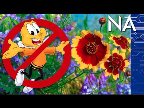 Can I Plant Cheerios Seeds
