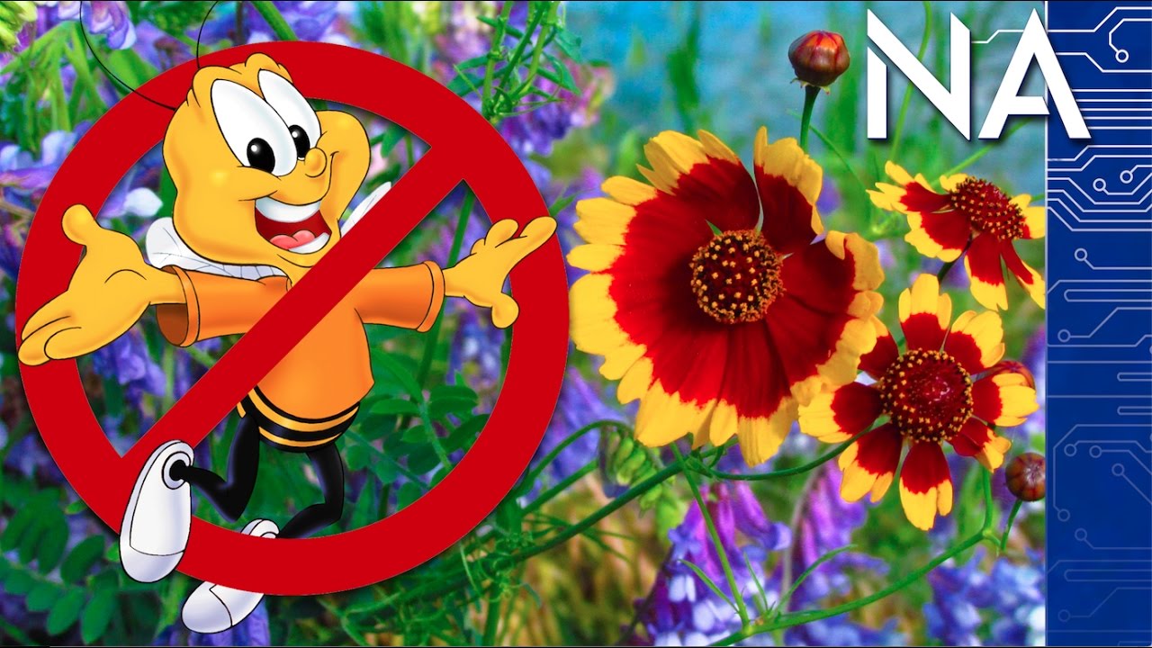 DON'T Plant The Seeds in Cheerios If You Care About Bees - YouTube