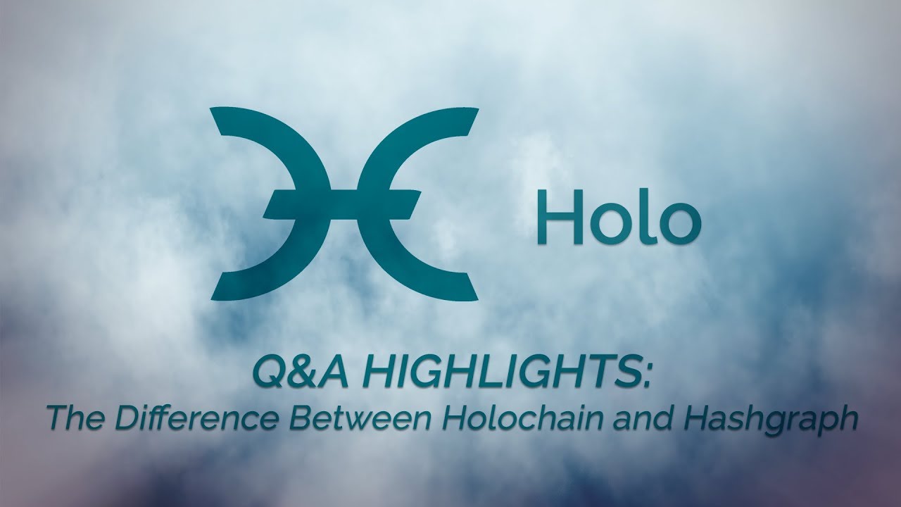 The Difference Between Holochain And Hashgraph Youtube