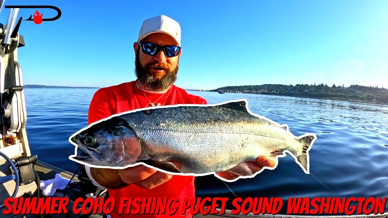 Puget Sound Summer Coho Fishing - YouTube