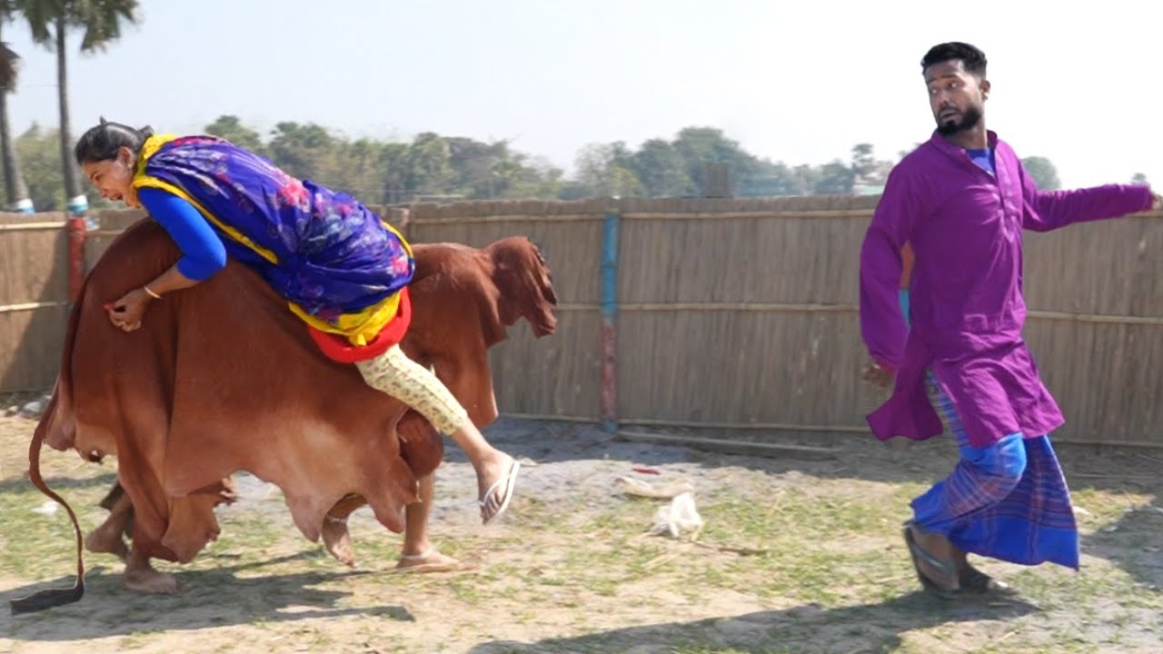 Must Watch New Special Comedy Video 2024 😎Totally Amazing Comedy ...