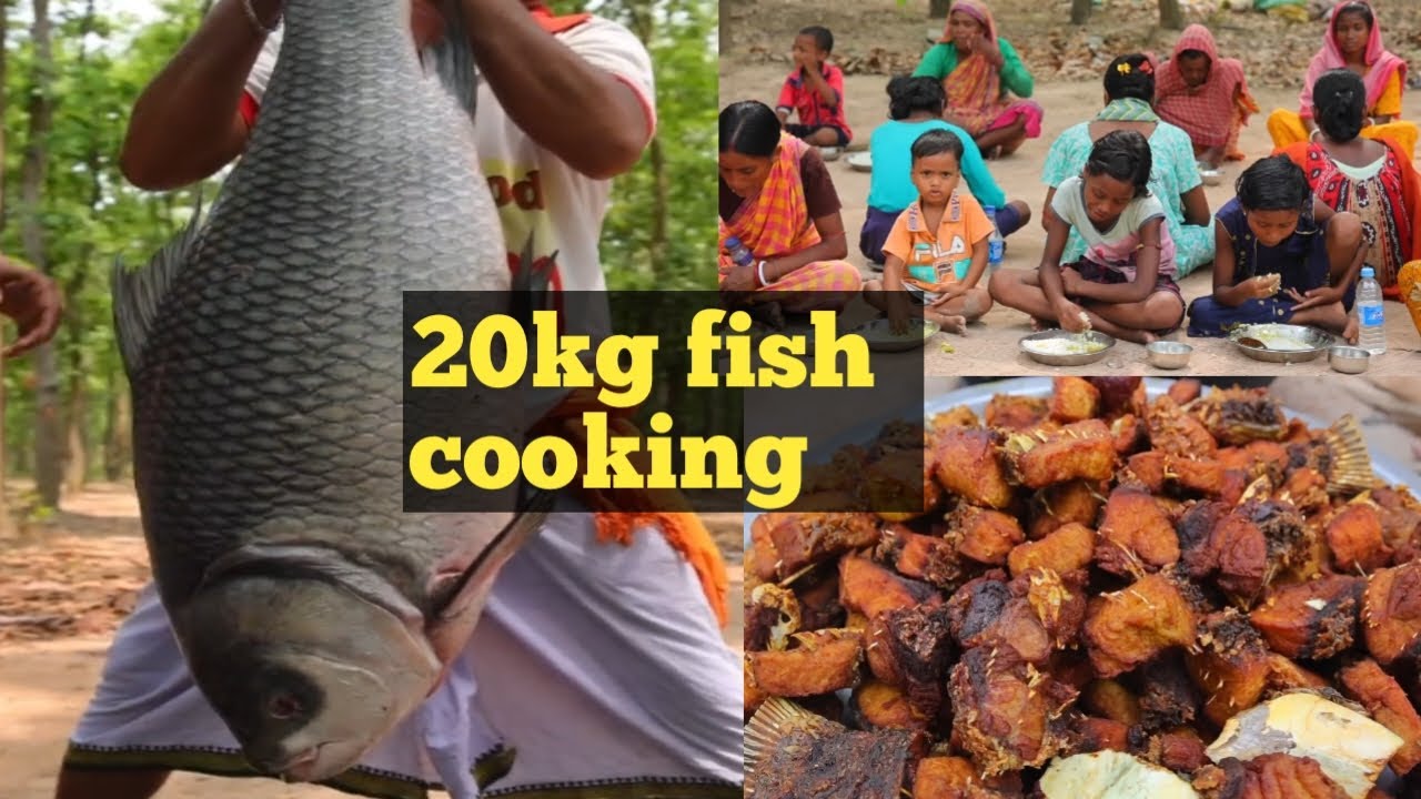 20 kg fish cooking & fish video & #fishcooking #cooking - YouTube