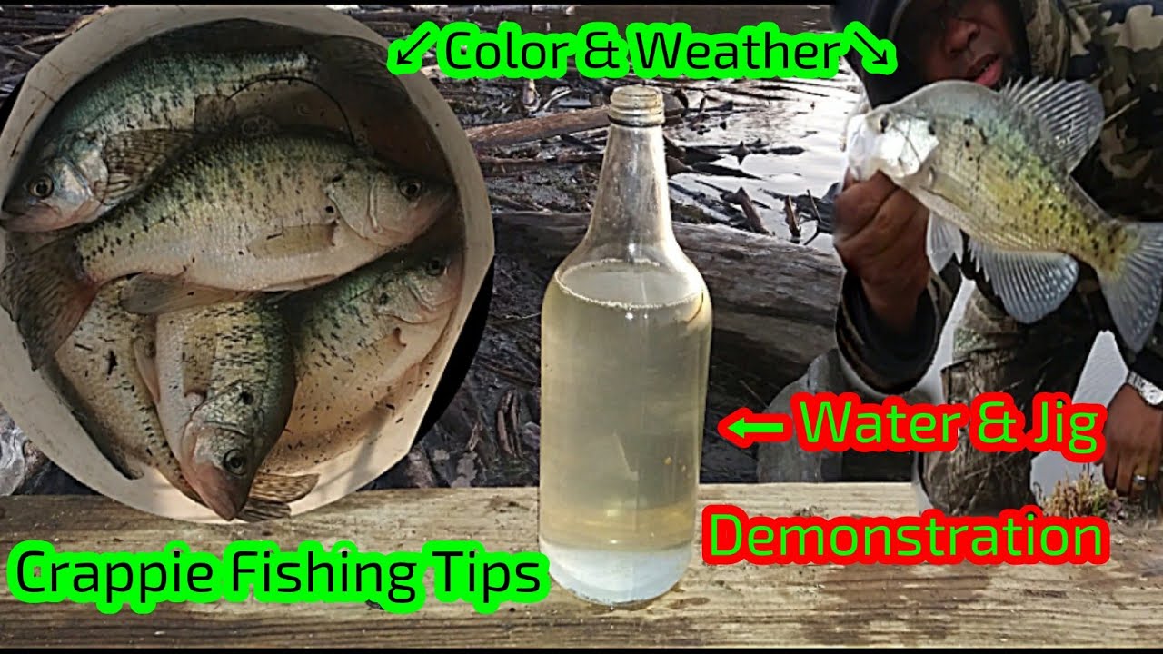 Crappie Fishing Tips "Color & Weather Matters" Crappie Town USA Baby ...