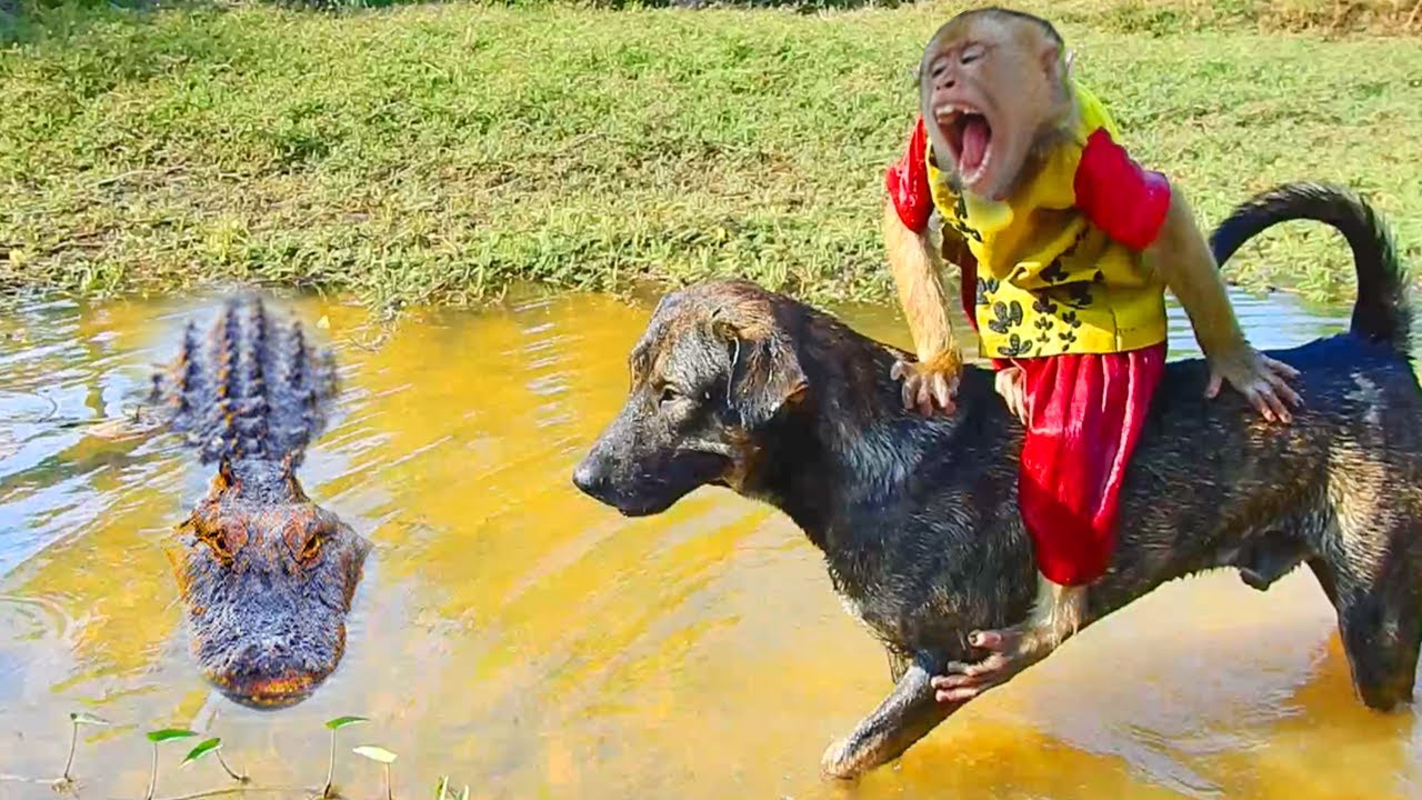 Don't Drop Me Here ! SokYaa Afraid This Big River Ever - YouTube