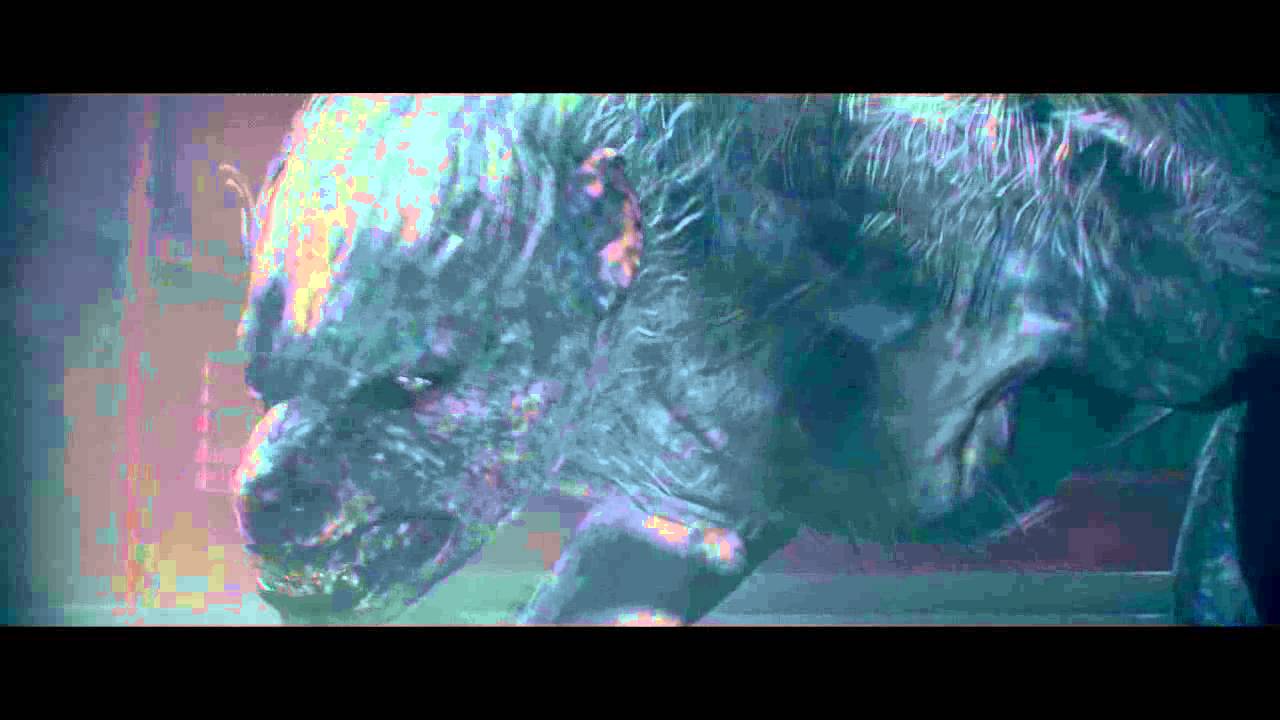 The Order 1886 Werewolves