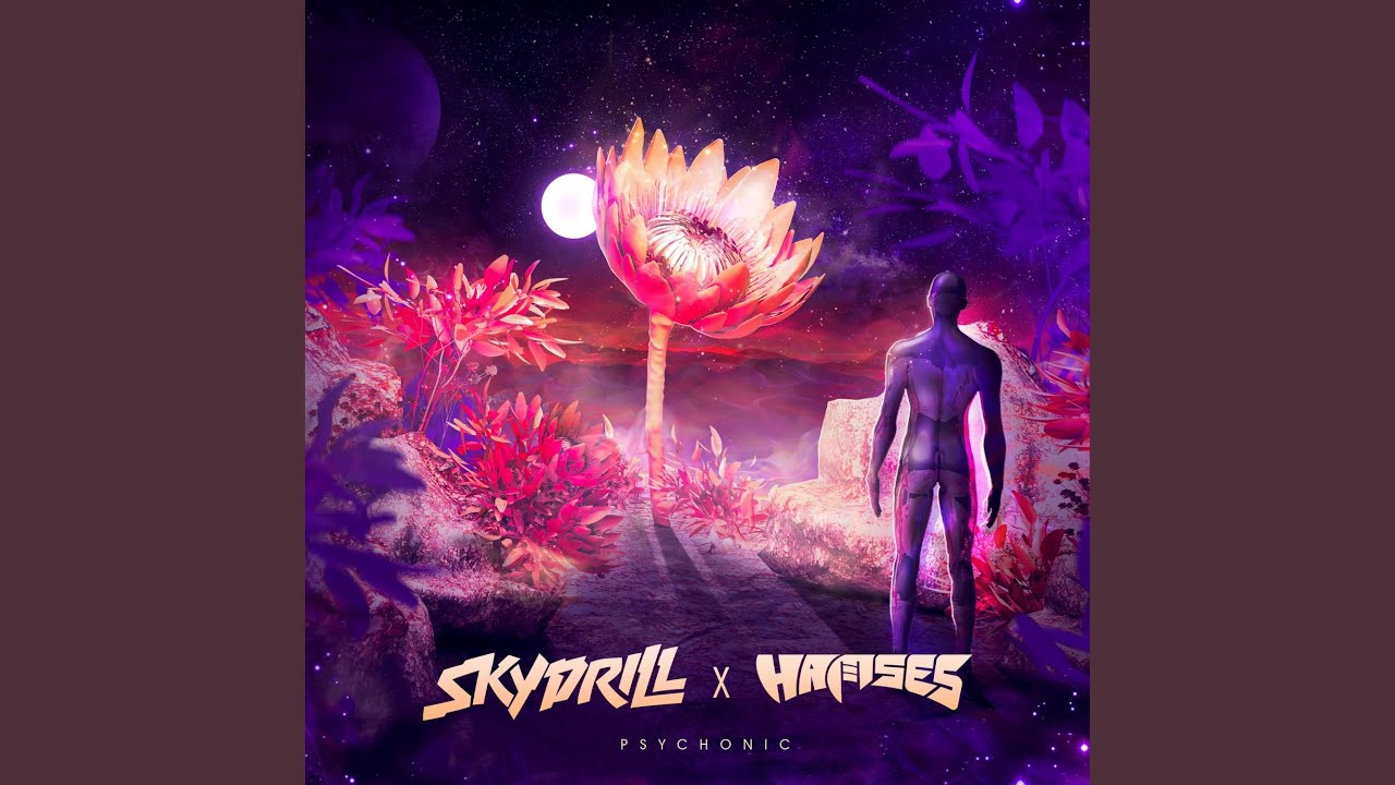 Psychonic (feat. Hamses) - YouTube