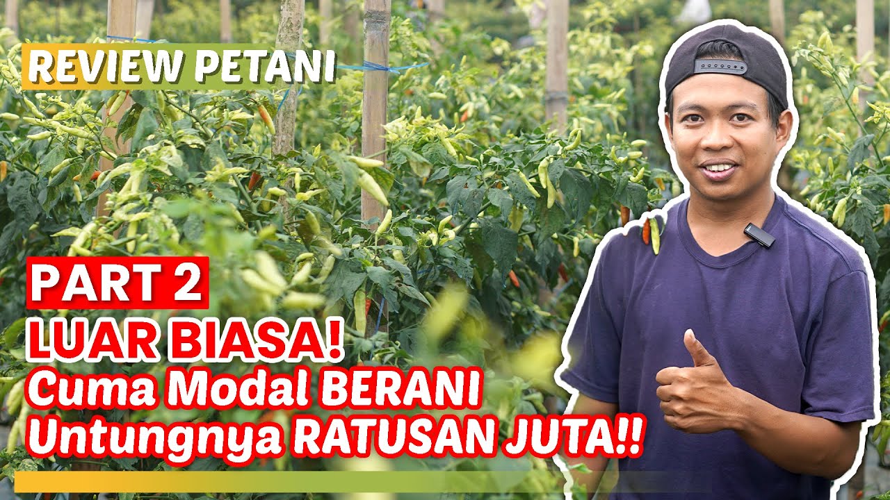 Semua METODE MAS UDIN di Terapkan Sampai UNTUNG BERLIPAT - Part 2 # ...