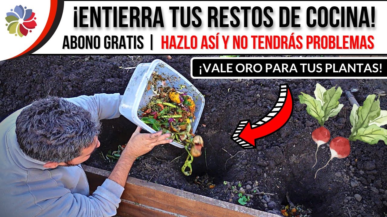 ¿SE PUEDEN ENTERRAR los RESTOS de la COCINA en el HUERTO o JARDÍN ...
