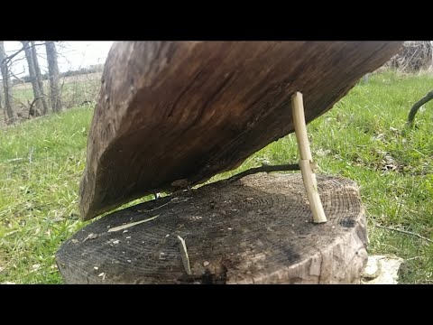 Lever Trigger Split Stick Deadfall Trap - YouTube