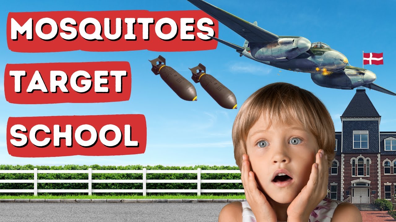 When The RAF Accidently Bombed A School - Operation Carthage 1945 - YouTube