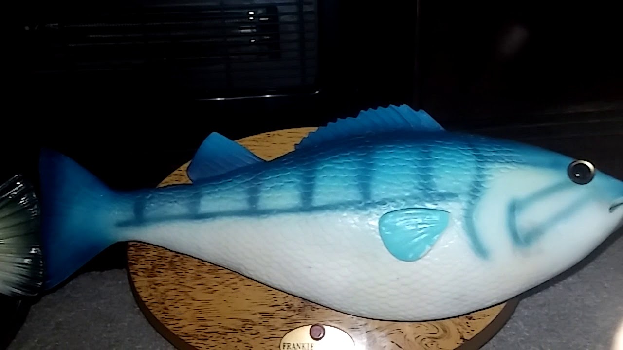 My Singing Fish Collection - YouTube
