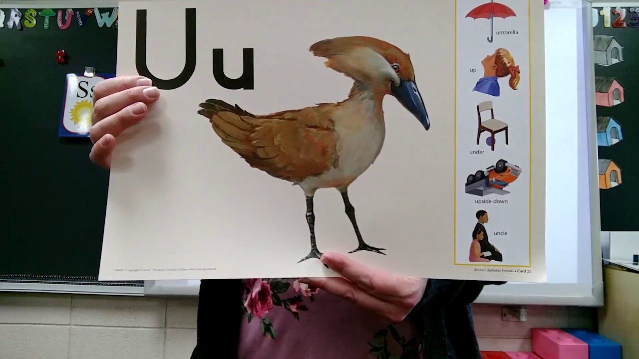 Week #28 3/16-3/20 All About Upton Umbrette - YouTube