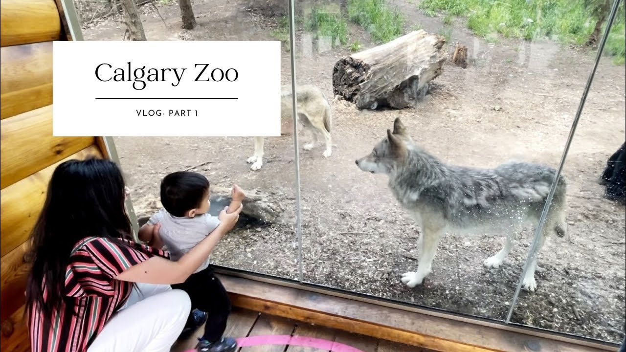 Calgary zoo Tour Walkthrough - YouTube