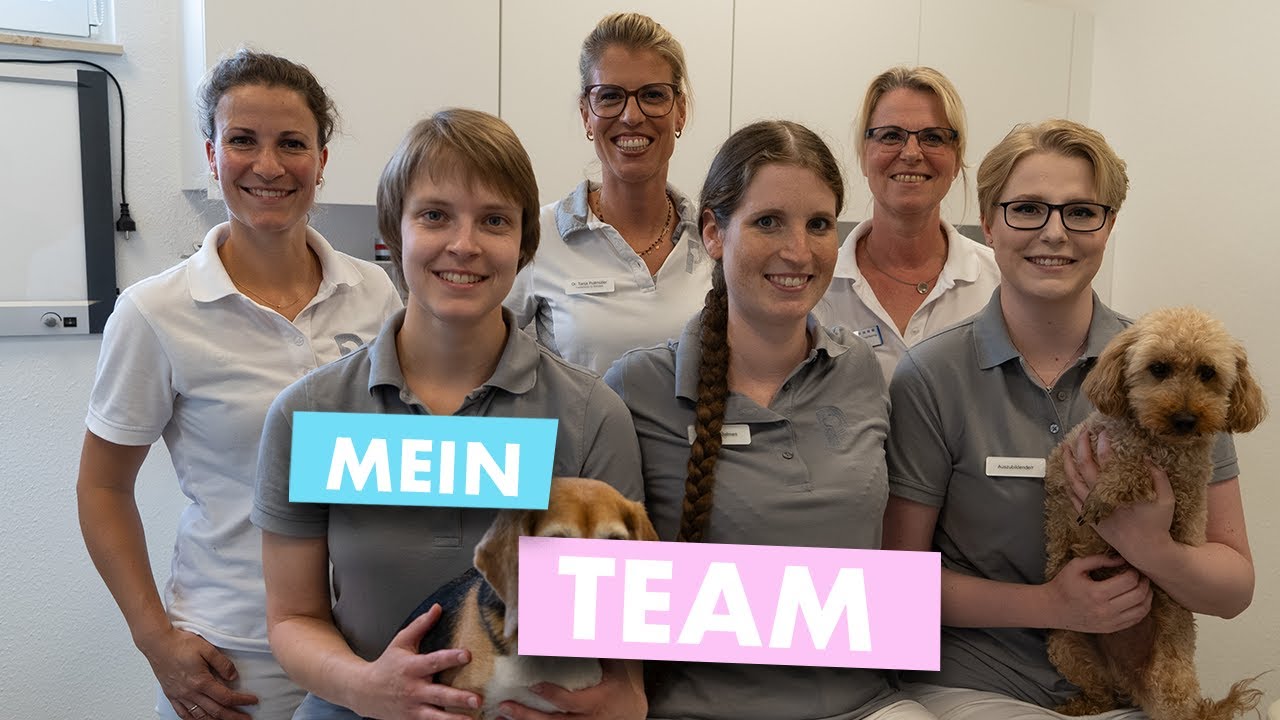 Doc Polly - Teamvorstellung - YouTube