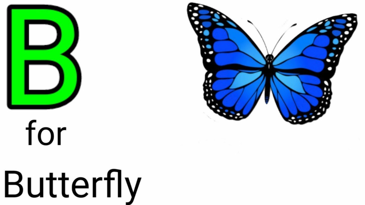 #b for butterfly #b for balloon - YouTube