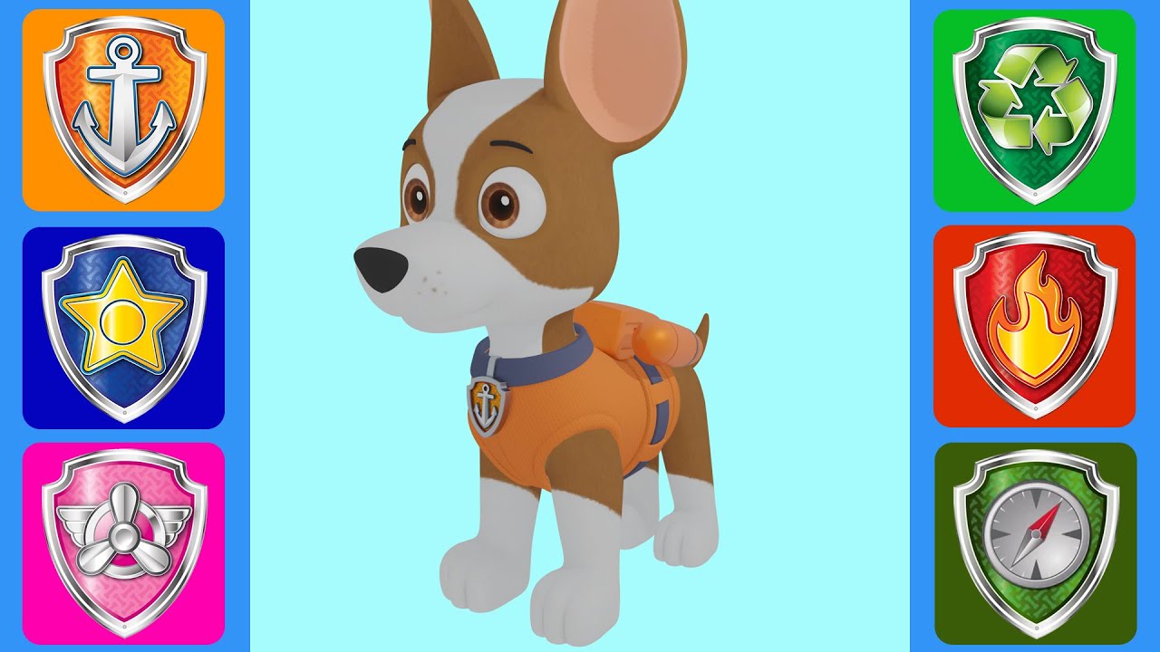PAW Patrol: Wrong clothes for Tracker - YouTube