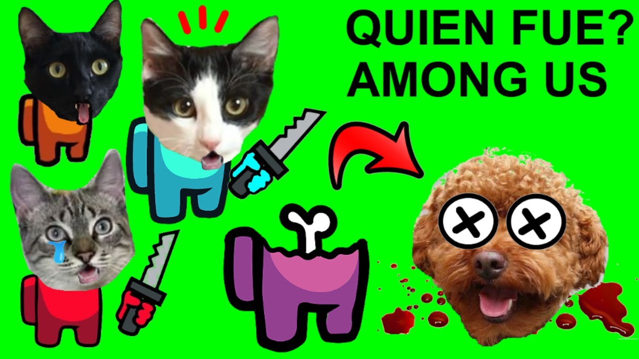 QUIÉN MATÓ AL PERRO?! JUGANDO AMONG US en la vida real vs gatos Luna y ...
