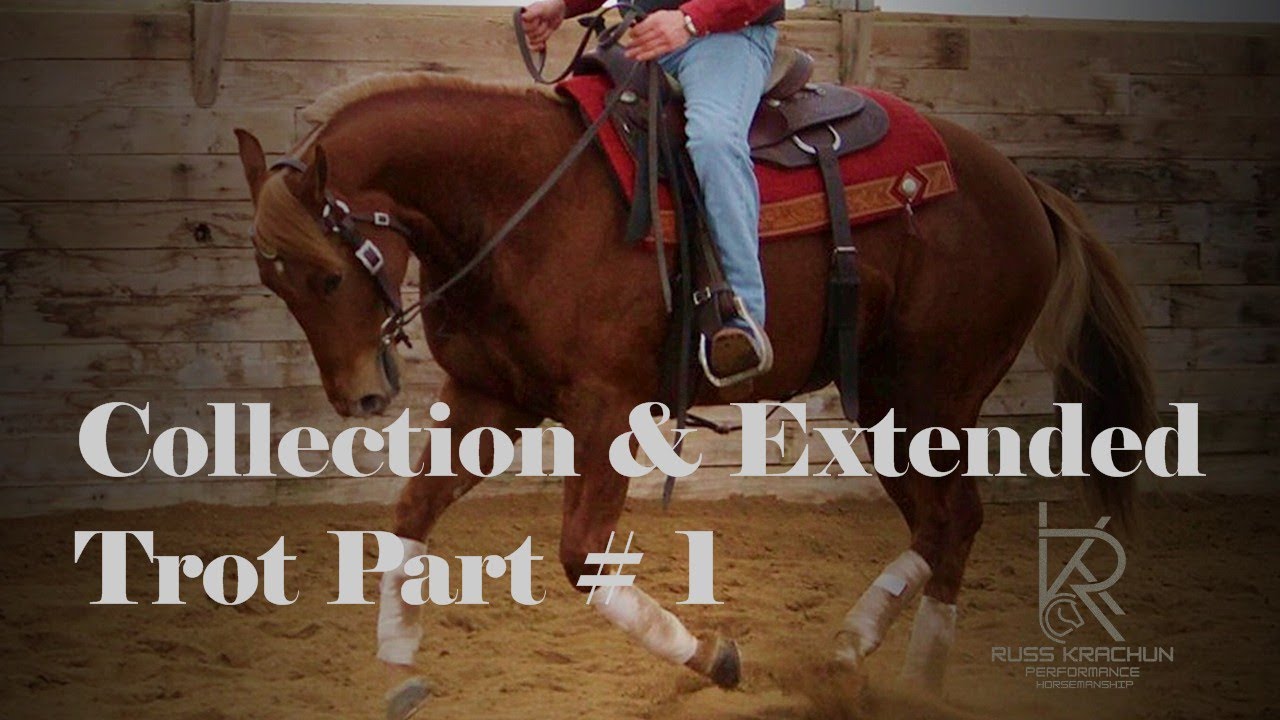 Face a Challenge Collection & Extended Trot Part # 1 - YouTube
