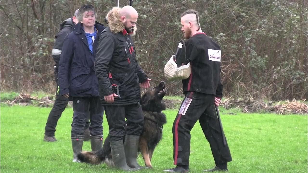 Helpers Exam VDH Randy Van Kampen IGPI - YouTube