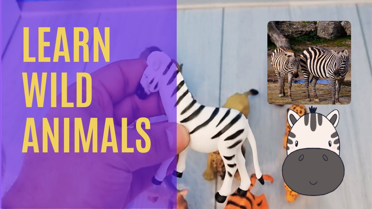Fun Learning Names Zoo Animals, Lion, Cheetah, Zebra, Hippo, Elephant ...