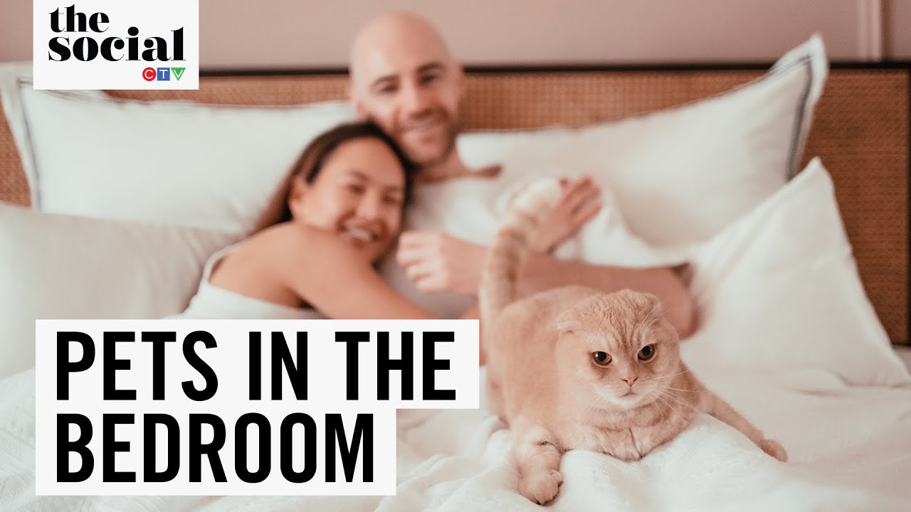 Cat vs. Girlfriend! Is This Bedroom Boundary Too Much? 🙀 | The Social - YouTube