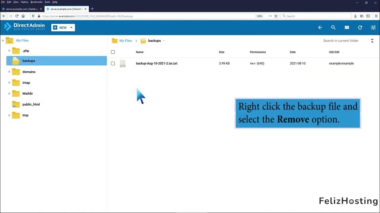 How to Remove a Backup File from Your DirectAdmin FelizHosting - YouTube