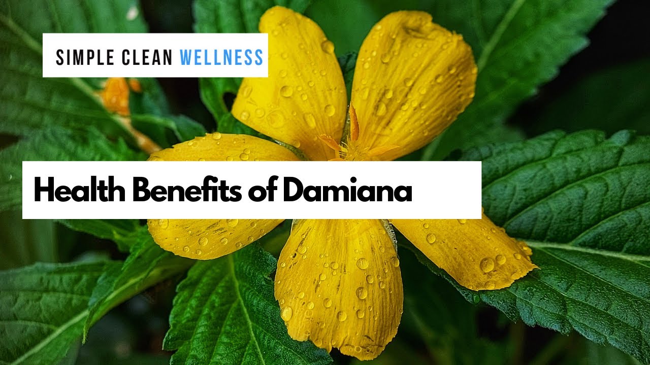 Health benefits of damiana - YouTube
