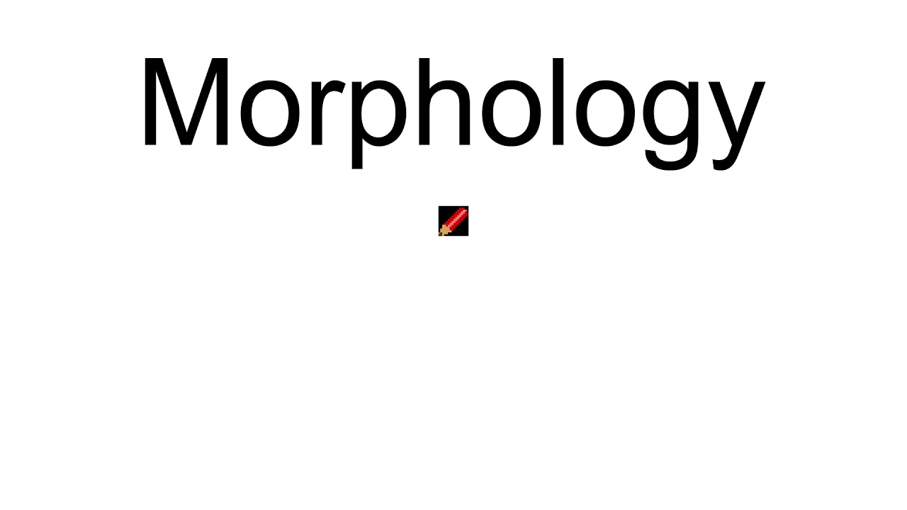 Thalassocalyce - YouTube