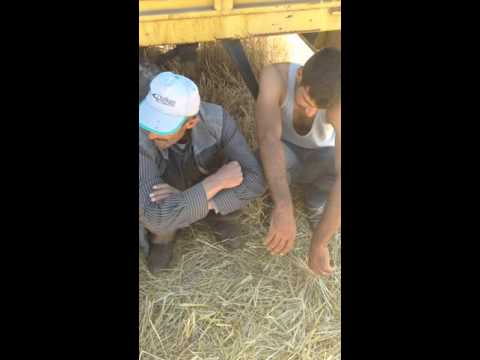 Yusuf kama mehmet ocak kobani sohbet