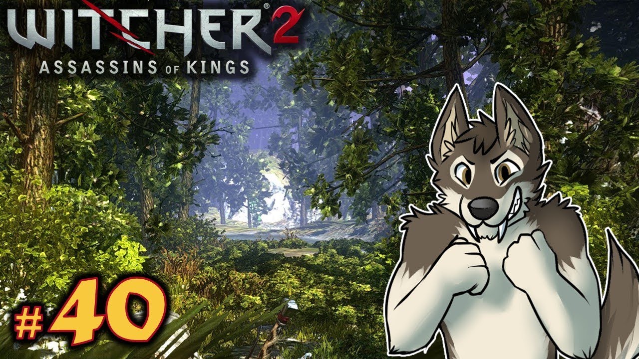 VERGEN'S FORESTS || THE WITCHER 2 Let's Play Part 40 (Blind) || THE ...
