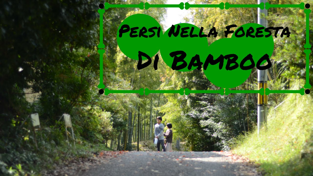 Japan Trip [ep.7 part.2] Persi nella foresta di bamboo ad Inari - YouTube