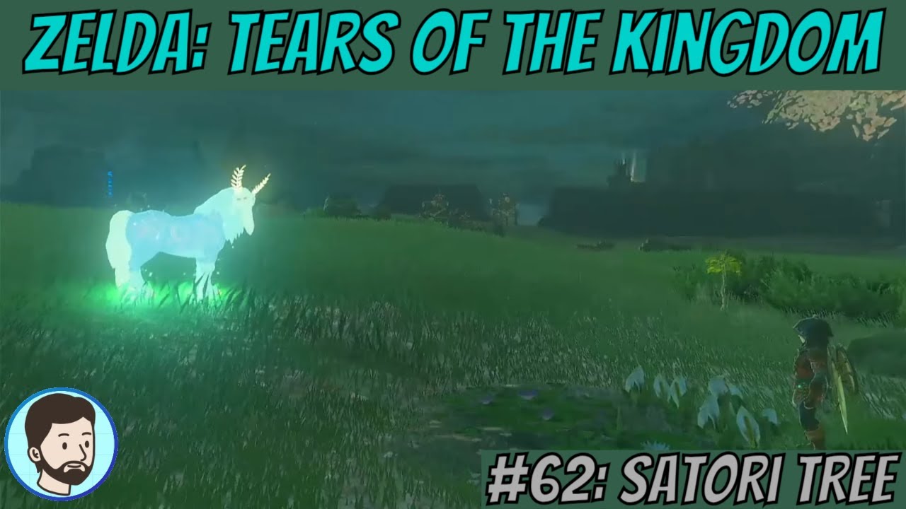 The Legend of Zelda: Tears of the Kingdom (Switch) - Part 62: Satori ...