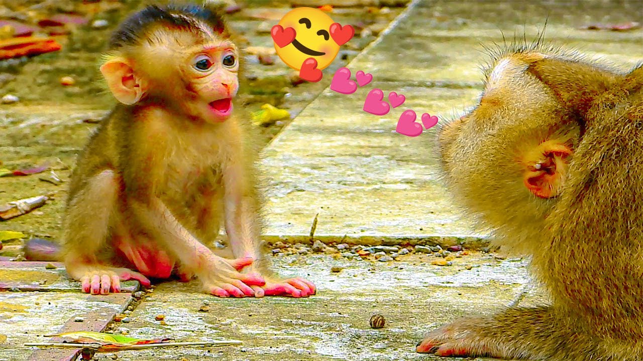 Awesomely Gorgeous Movement When Small Baby SABA And Mom SARIKA Start ...