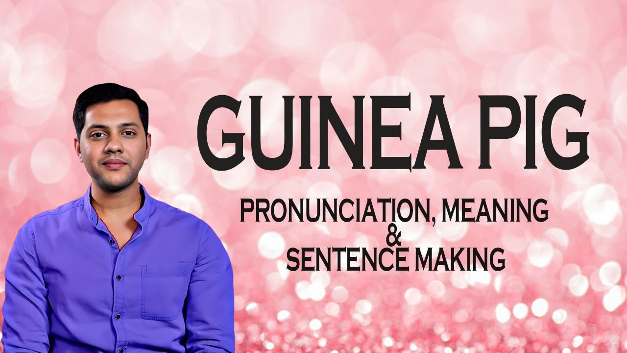 Guinea pig - Meaning & Pronunciation Word World Audio Video Dictionary ...