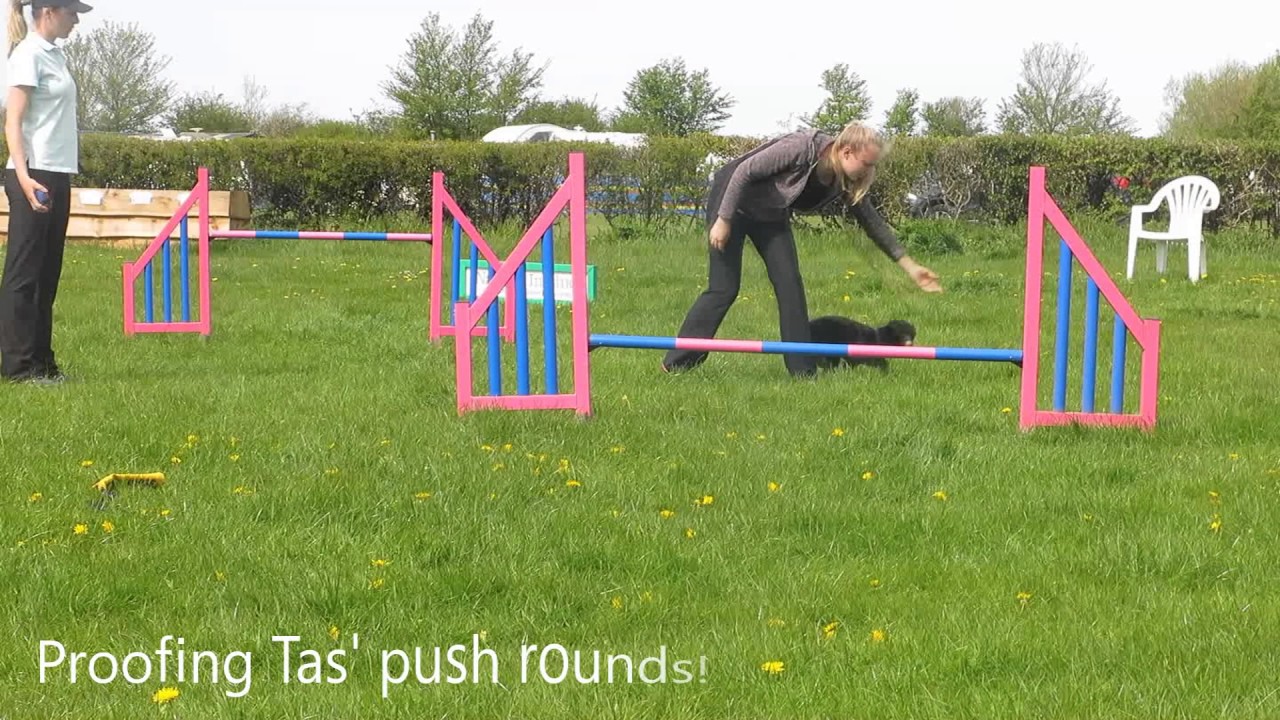 Agility Events Camp 2017 YouTube agility-events-camp-2017-youtube