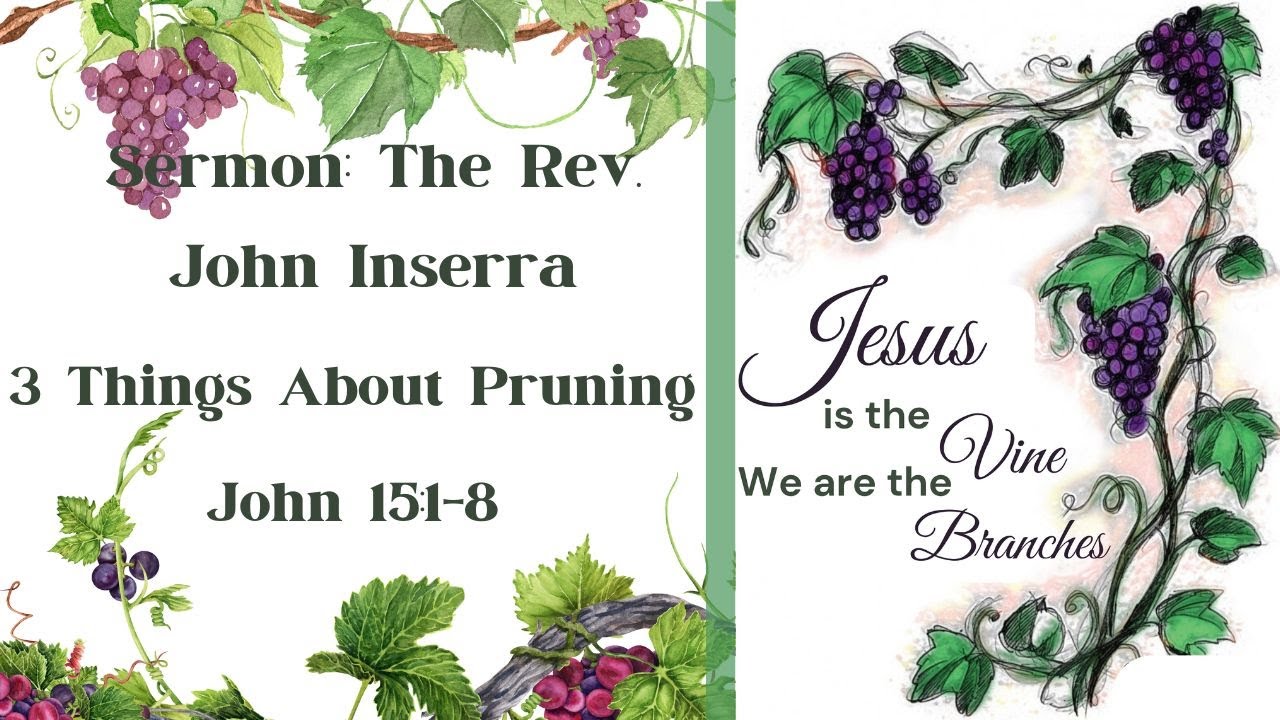 Sermon: The Rev. John Inserra (3 Things About Pruning [John 15:1-8 ...