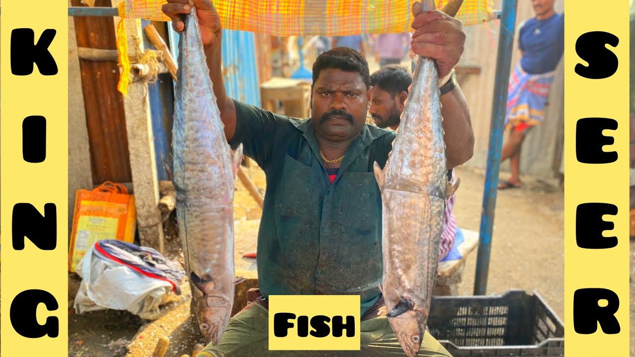 🔥காசிமேடு SPEED செல்வம் 🐬வஞ்சரம் மீனை🐬 (KING SEER FISH) வெட்டும் நேரடி ...